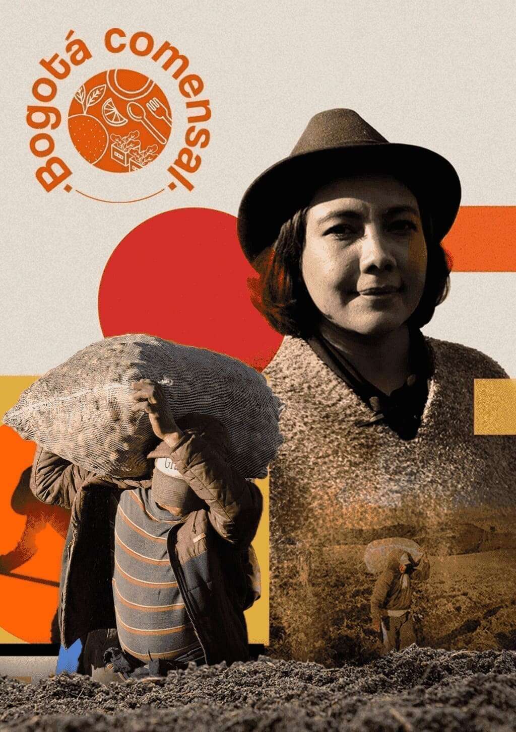 Programas y series - Capital